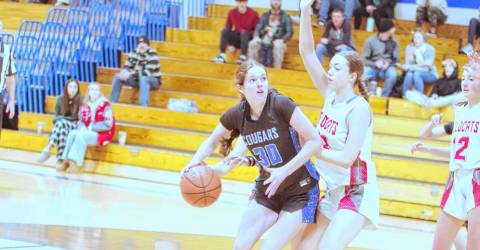 Dalling wins H/W/S wrestling title