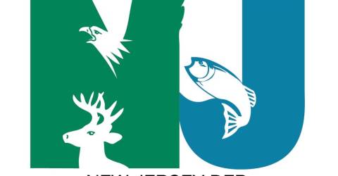 Parts of Flatbrook Roy WMA to close for paving