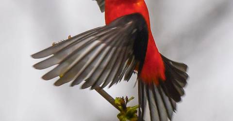 Sparta Camera Club names ‘Image of the Year’