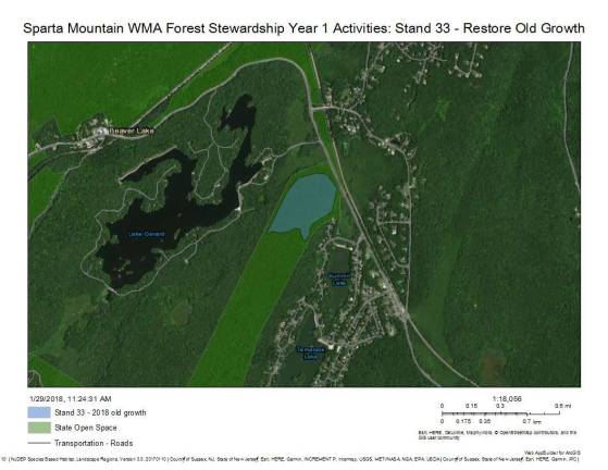 Sparta Mountain forestry plan to start this month